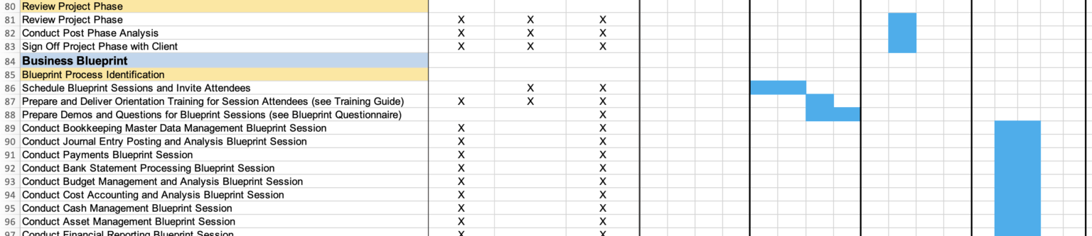 SAP Business One Project Plan – Tactical Project Manager