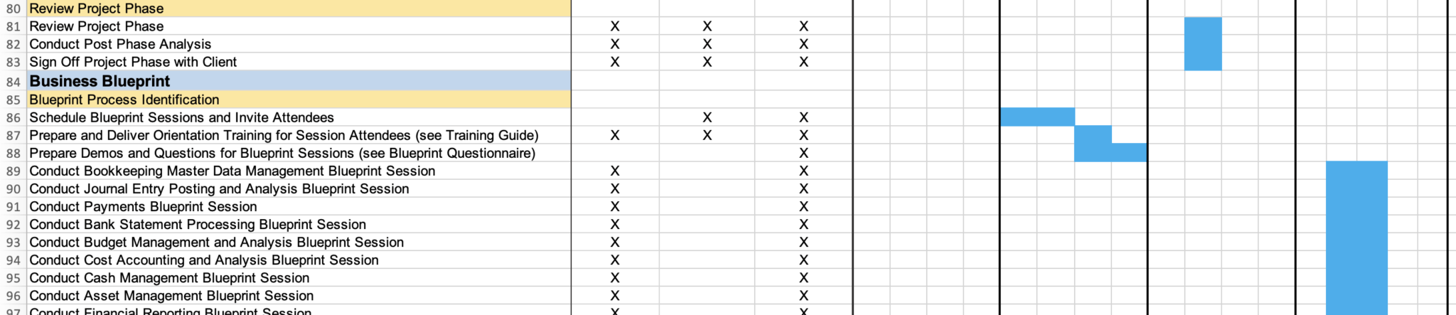 SAP Business One Project Plan – Tactical Project Manager