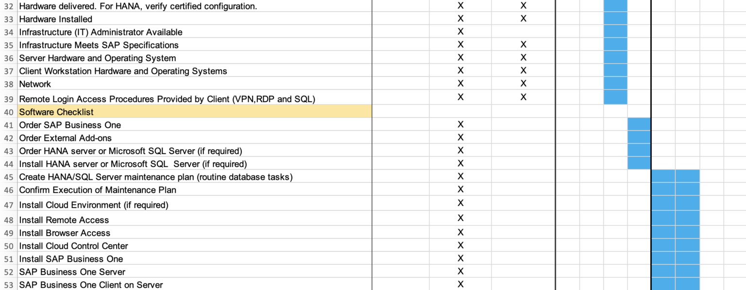 SAP Business One Project Plan – Tactical Project Manager