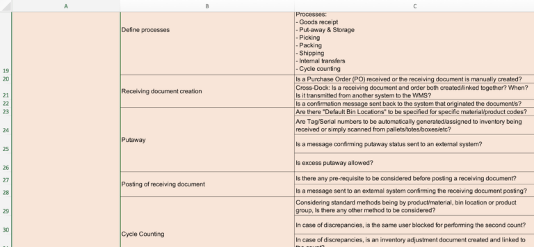 WMS Implementation Plan – Tactical Project Manager